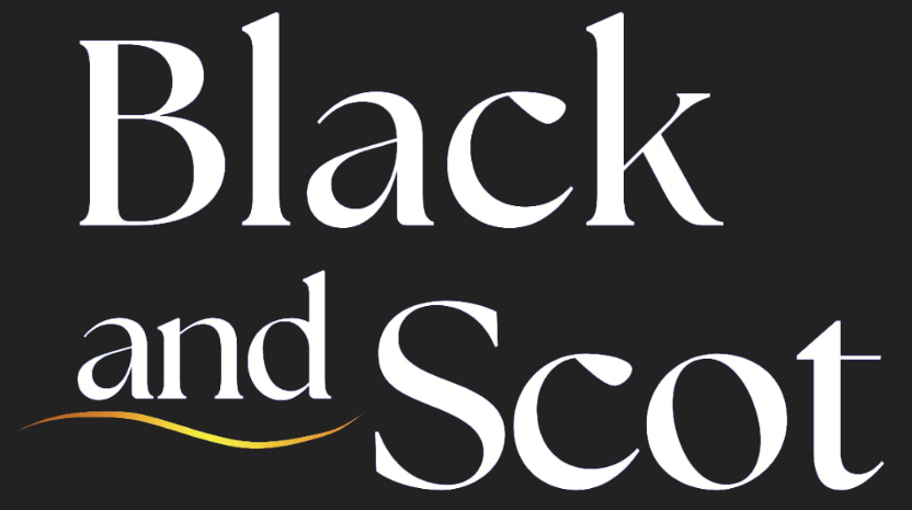 Introduction to Business Analysis - Black and Scot